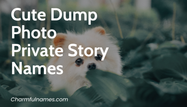 200+ Revealing Photo Dump Private Story Names: Snap Lovers