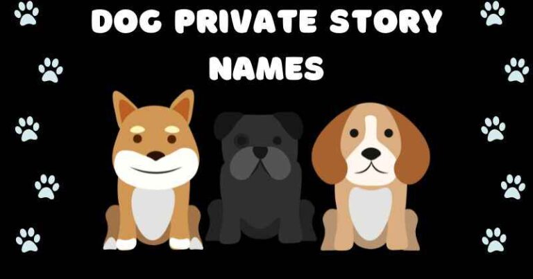 200+ Dazzling Classified Dog Private Story Names