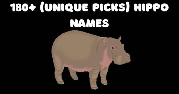 180+ Mighty Hippo Names: Rule The River Bold & Powerful