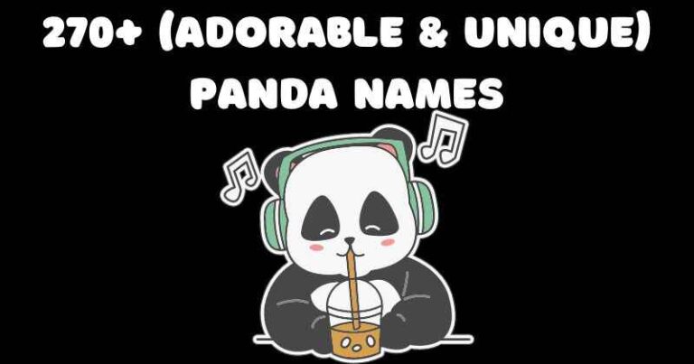 766+ Adorable And Unique Panda Names By Charmfulname