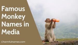 779+ Banana Buddies: (Uncover) Top Monkey Names