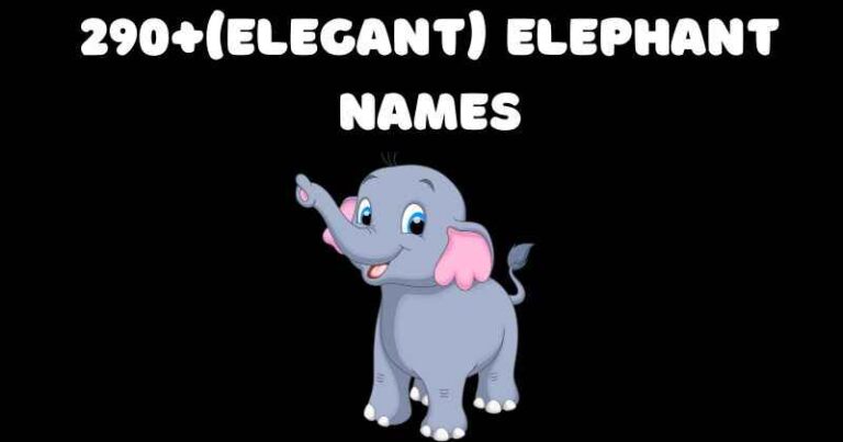 310+ Funny And Cute Elephant Names In 2024 (A-Z List)