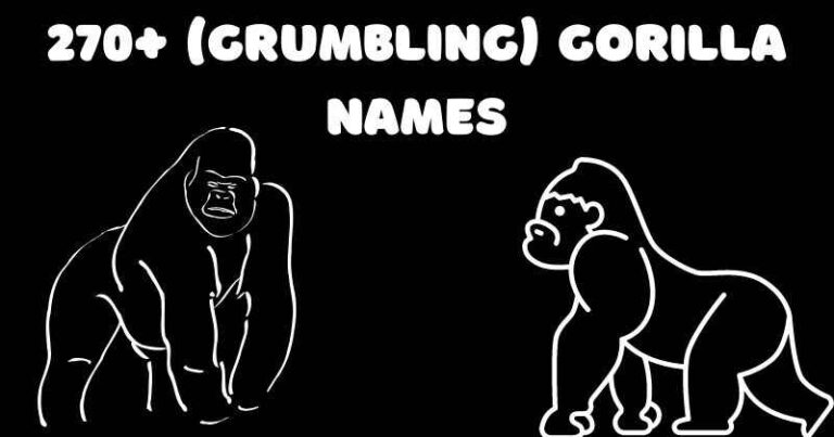 Go Wild: (Discover) 370+ Captivating Gorilla Names (2024)