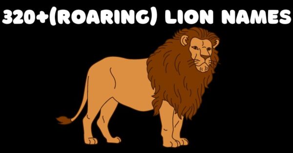 Choose Your King: (Select) Impressive Lion Names (Now)