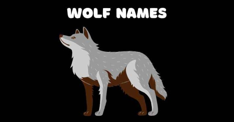 Discover Majestic Wolf Names: Unleash Wild Inspiration!