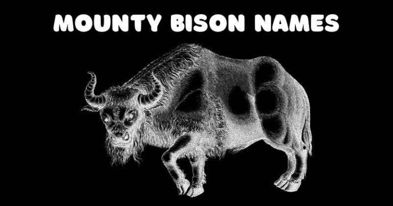 Discover Majestic Bison Names You'll Love! By Charmfulnames