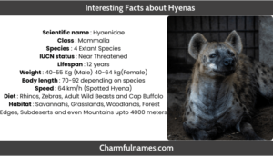From Jungle Jokes To Fierce Friends: The Best Hyena Names