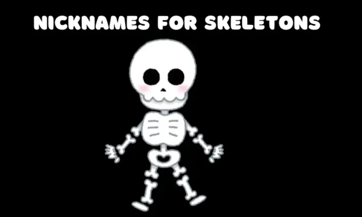 Silly Skeleton Names